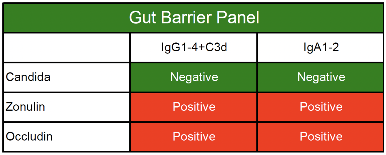 FIT 176 by KBMO Diagnostics